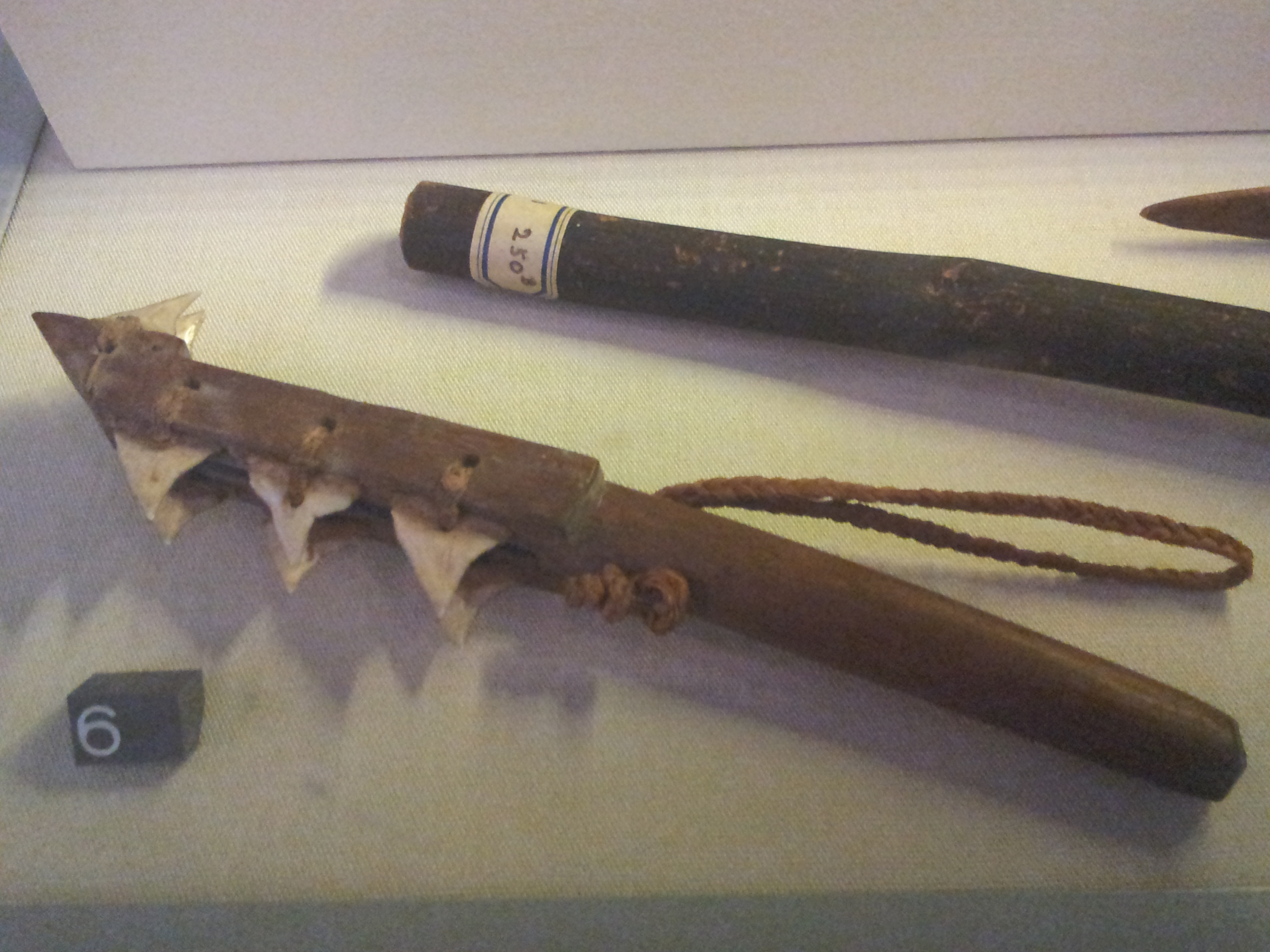 Shark Tooth Scarification Knife