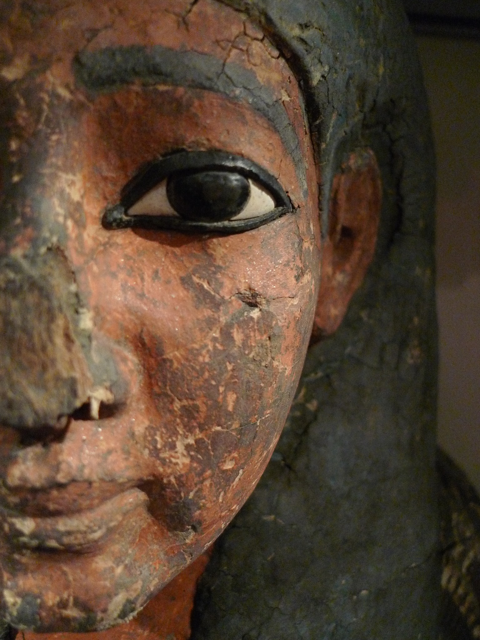 Torbay’s Ancient Egyptian Connection - Torquay Museum
