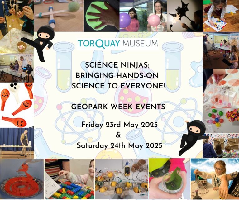 South Devon and Torbay History Attraction | Torquay Museum