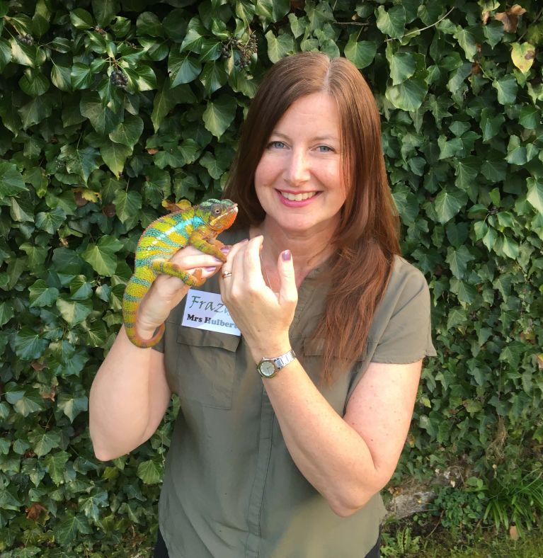 South Devon and Torbay History Attraction | Torquay Museum