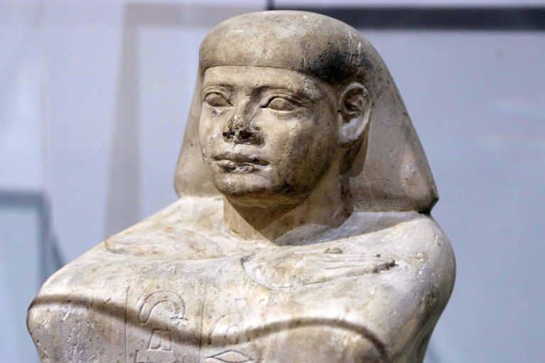 South Devon and Torbay History Attraction | Torquay Museum