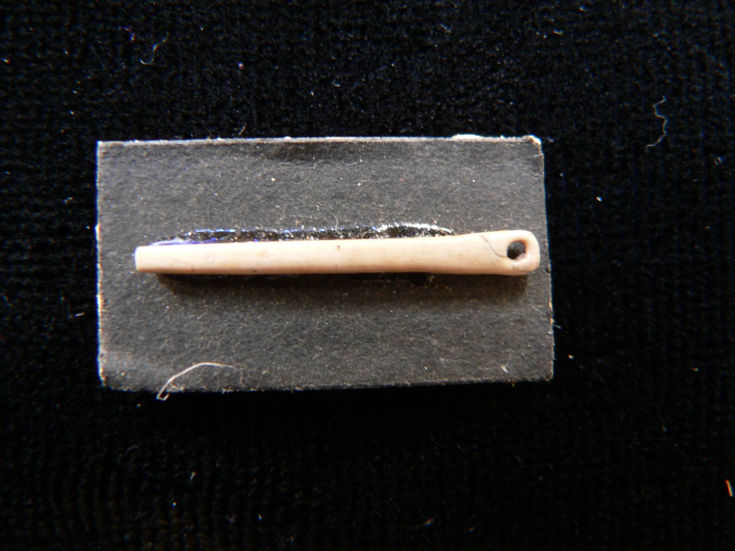 Palaeolithic Bird Bone Needle
