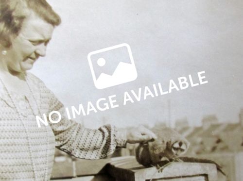 English Riviera Geopark